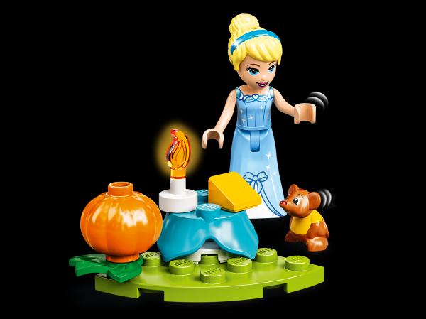 Autotrofi ed eterotrofi - Differenze e caratteristiche