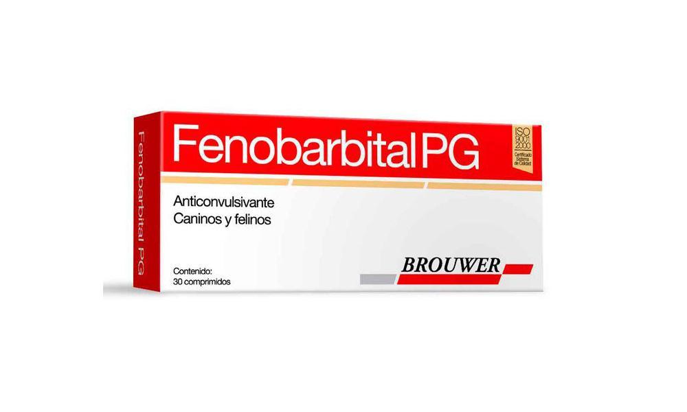 Fenobarbitale nei cani - Dosaggio, usi ed effetti collaterali