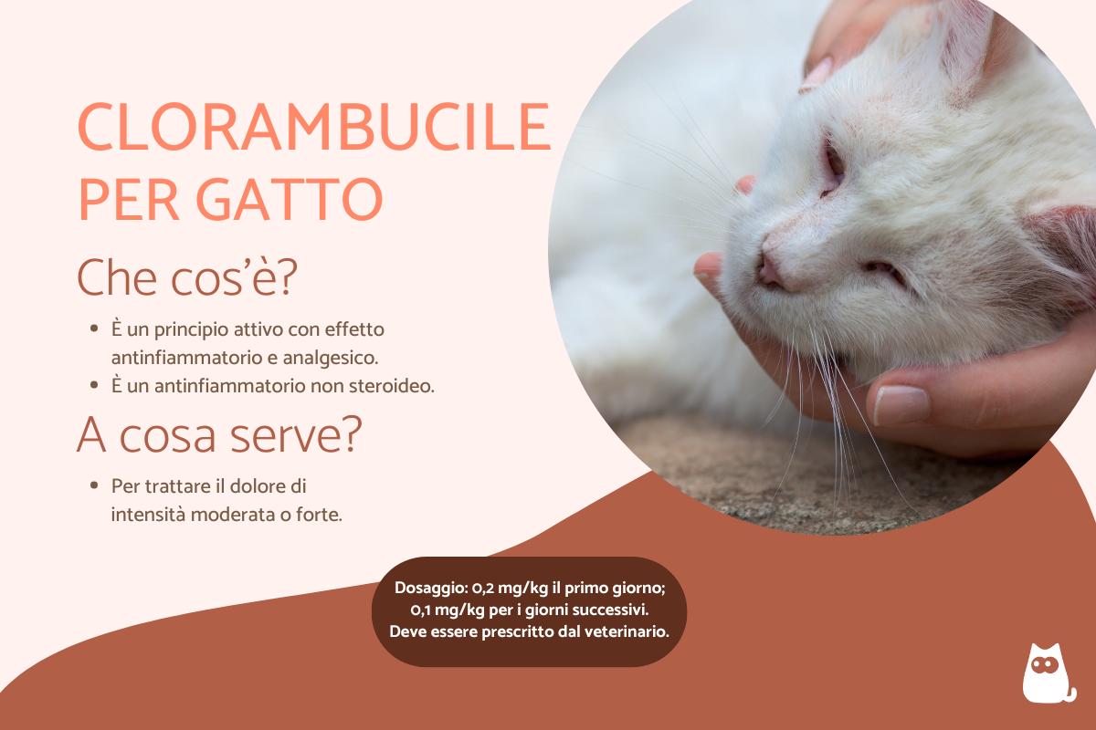Clorambucile per gatto - Usi e dosaggio