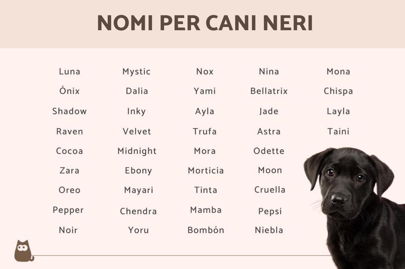 +150 nomi per cani neri