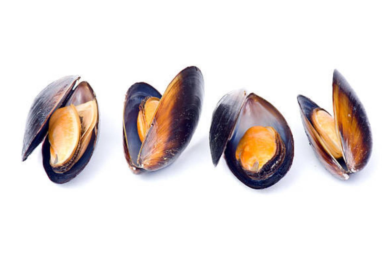 Come si riproducono le cozze? - Secernendo uova in acqua!