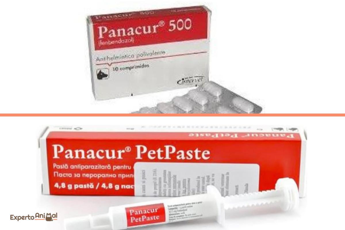 Panacur per cane: A cosa serve, dosaggio ed effetti collaterali