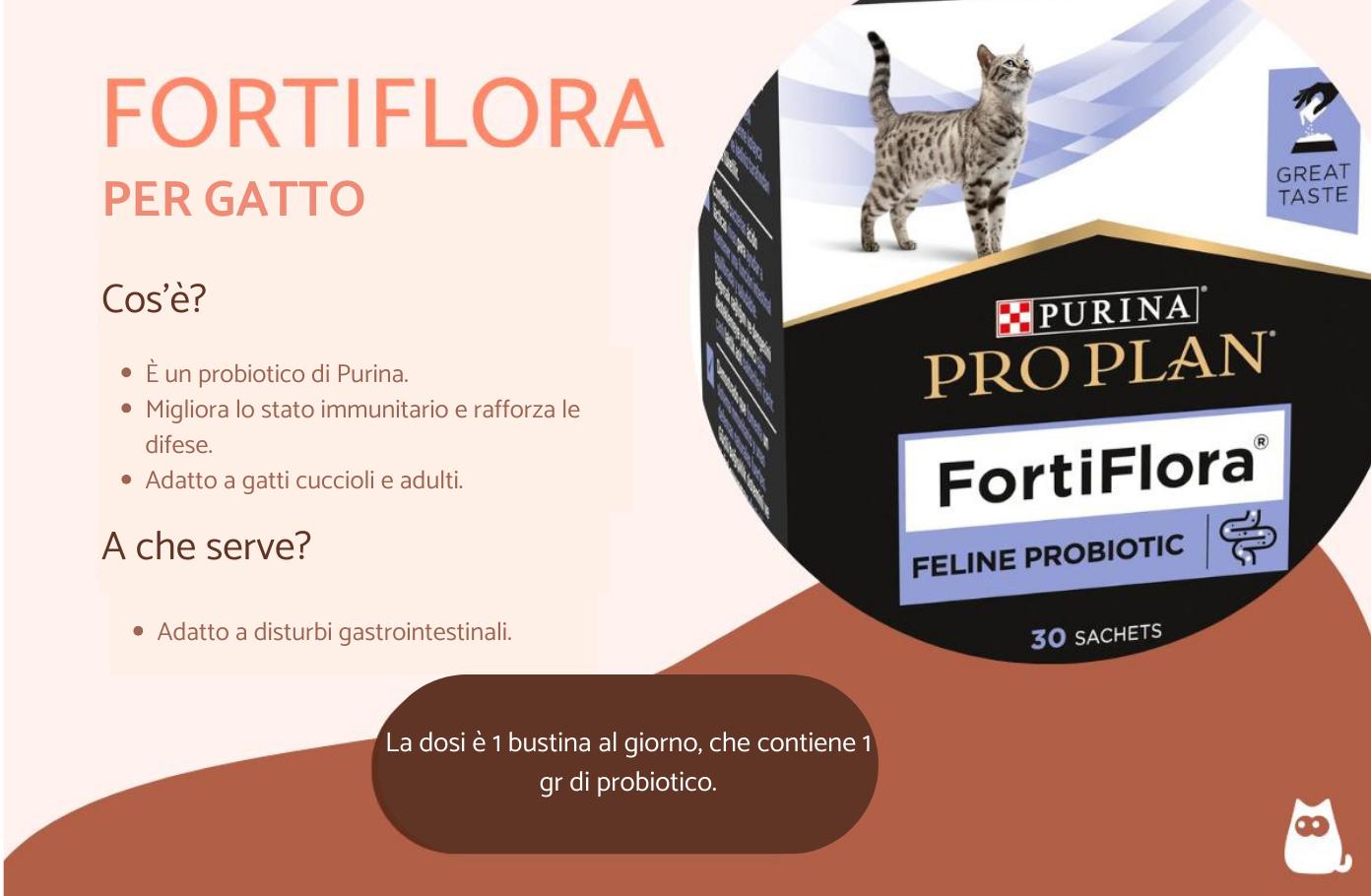 Fortiflora per gatto - Dosaggio, a cosa serve e quanti giorni