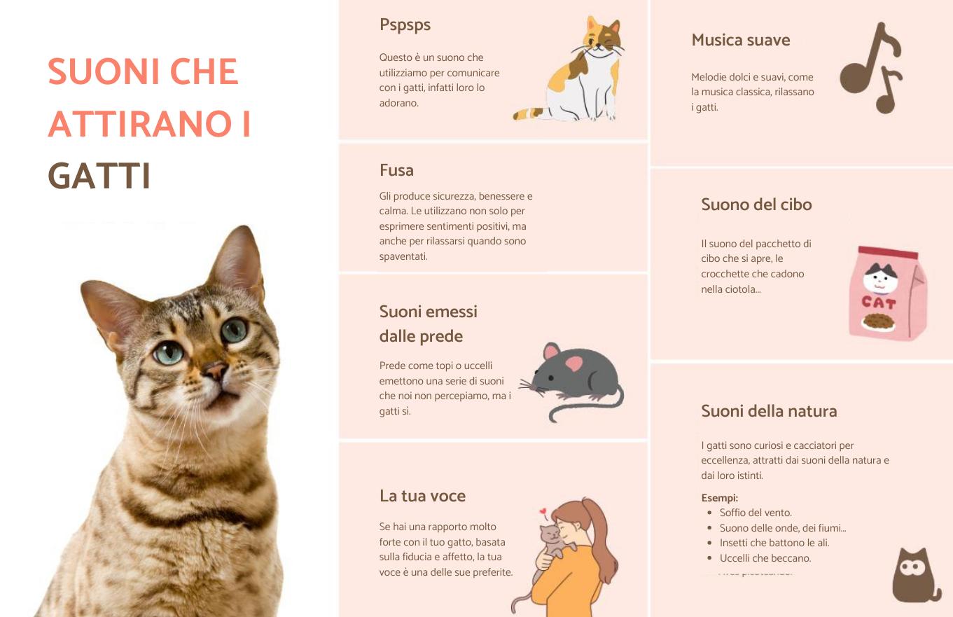 7 Suoni che attirano i gatti