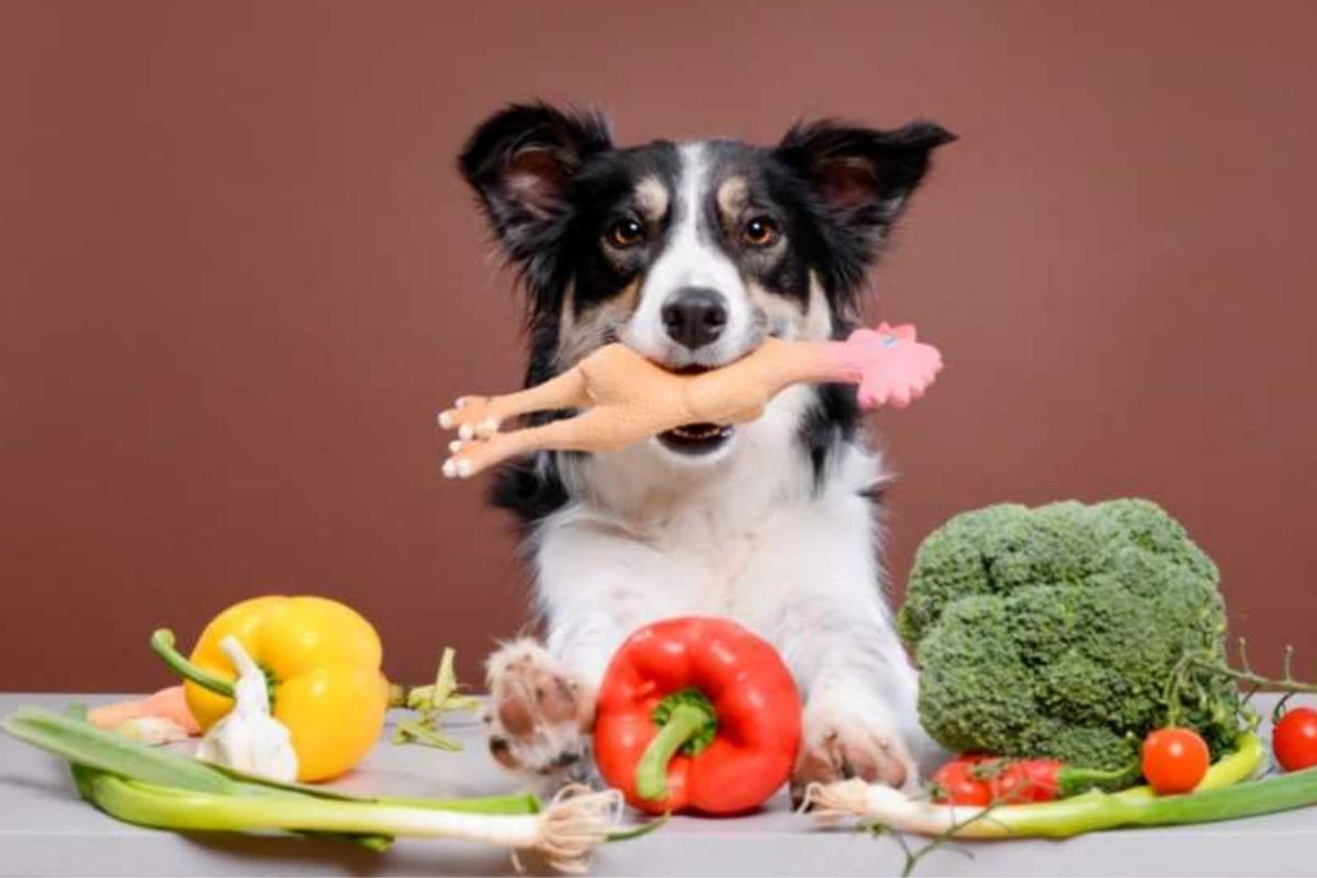 I cani possono mangiare i PEPERONI? Dosi e Benefici