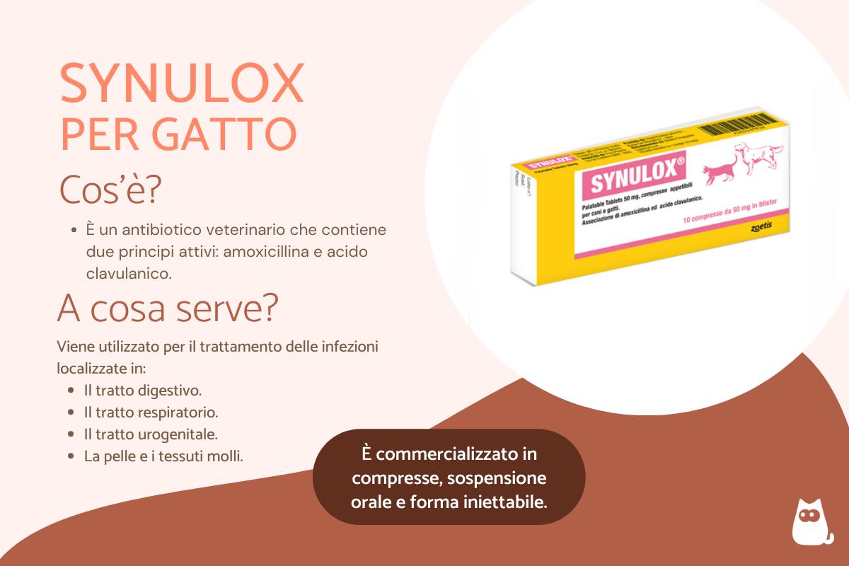 Synulox per gatto - Dosaggio e prezzo