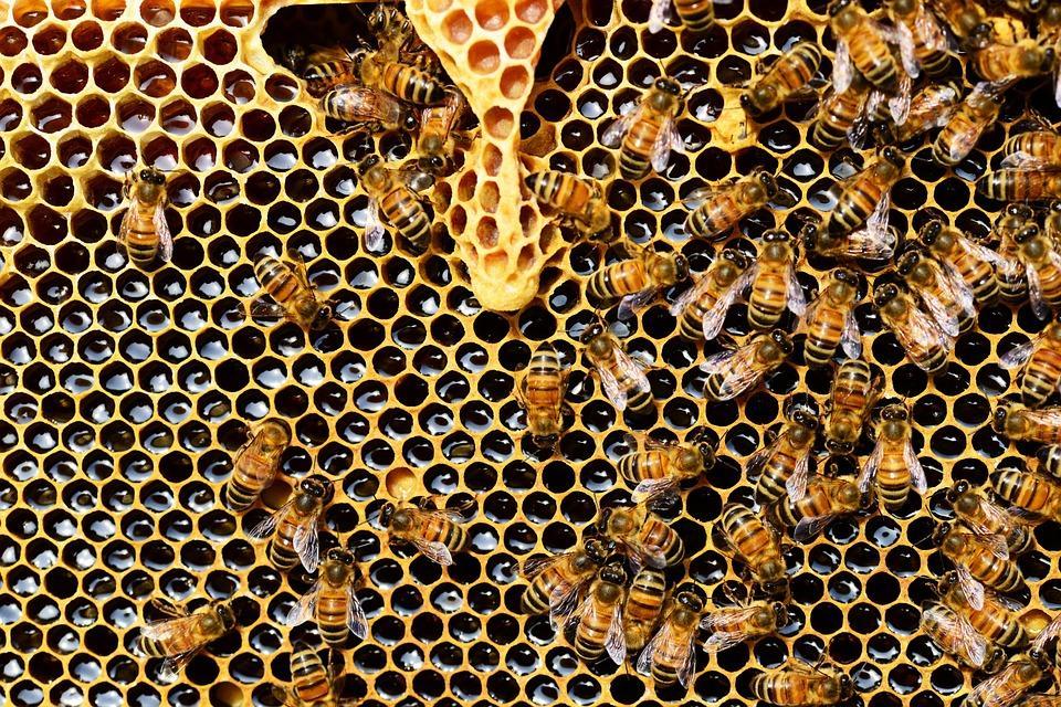 L'importanza delle API nell'ecosistema