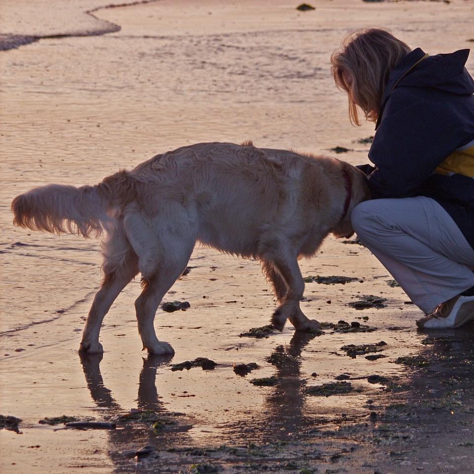Come farsi volere bene da un cane
