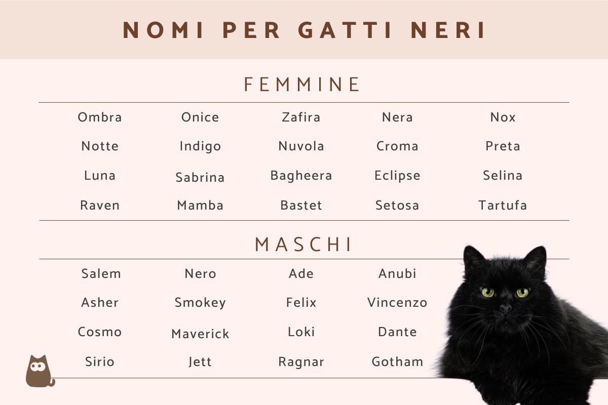 +200 Nomi per gatti neri femmine e maschi
